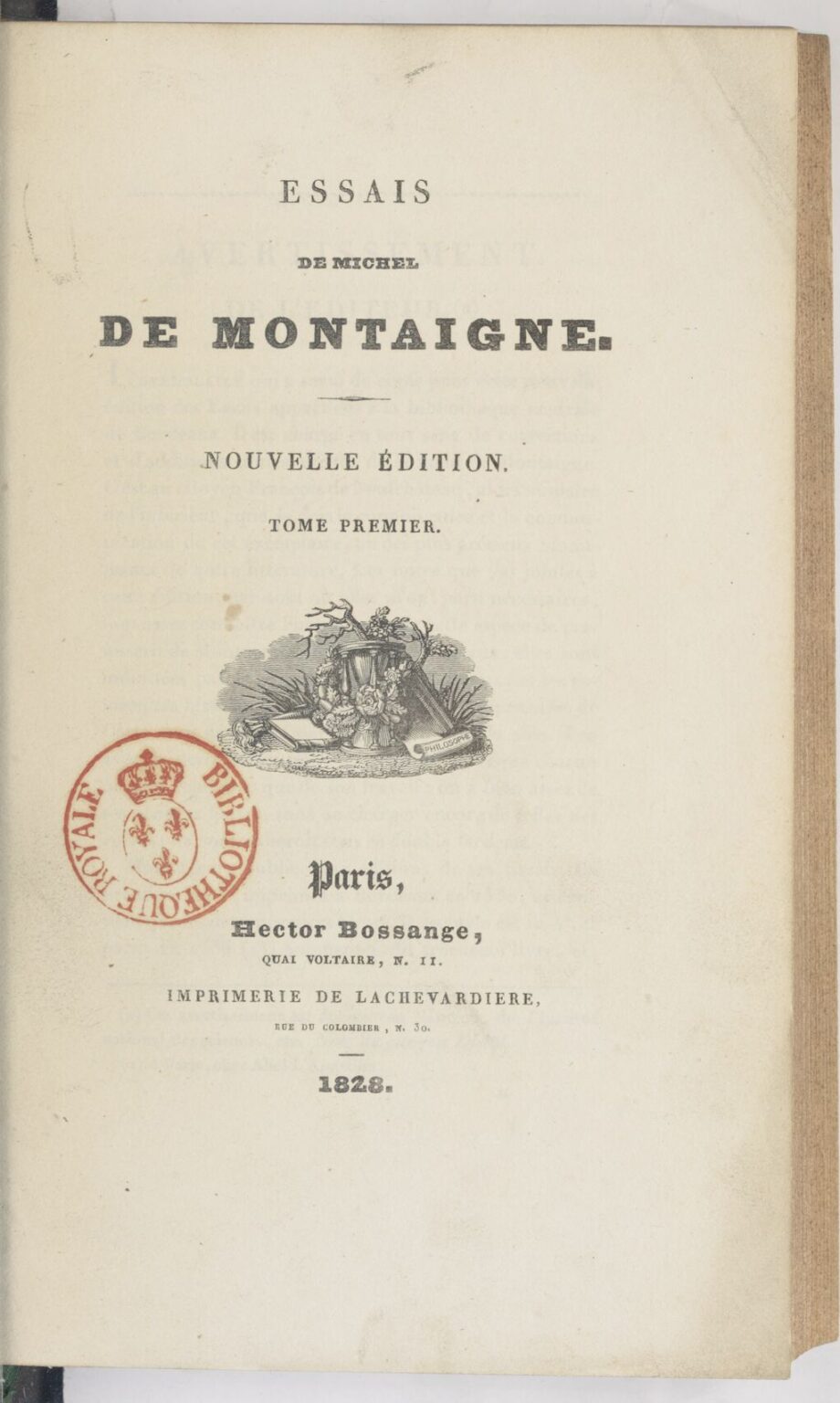 Ensayo: qué es, sus características, estructura y origen