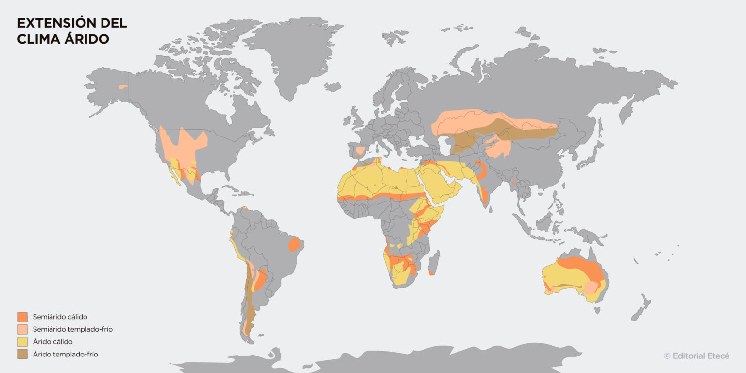 Clima árido: qué es, características, tipos, flora y fauna