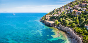 Clima polar: qué es, características, tipos, flora y fauna