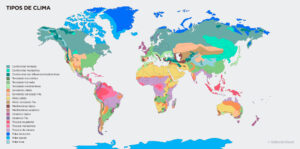 Clima polar: qué es, características, tipos, flora y fauna