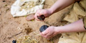 Homo erectus: origin, subspecies and characteristics