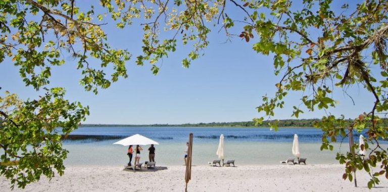 Paraguay: historia, geografía, población y características