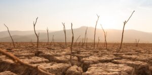 Drought: what it is, causes, types and effects