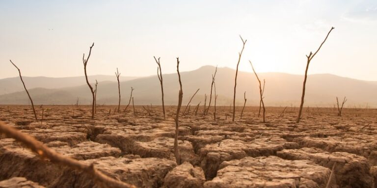 Drought: what it is, causes, types and effects