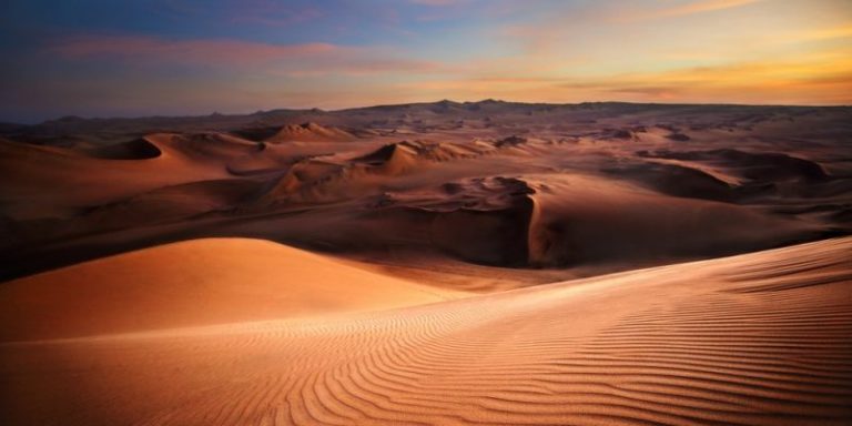 Biomes: what they are, their characteristics and more