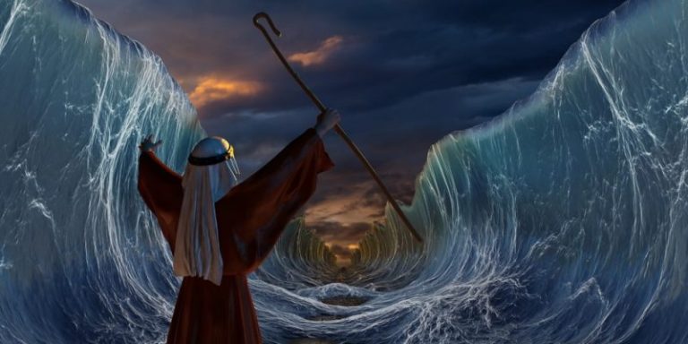 Mar Rojo: propiedades, turismo, fauna, flora y características