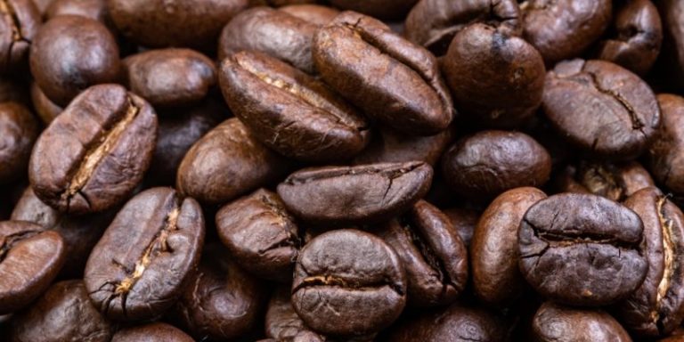 Café: cultivo, elaboración, tipos, sabor y características