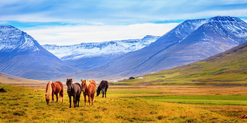 10 Características de los Biomas