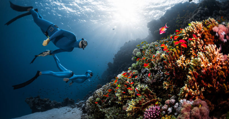 Mar Rojo: propiedades, turismo, fauna, flora y características