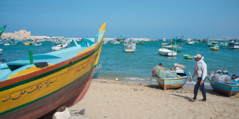 Río Nilo: información, flora, fauna, importancia y características