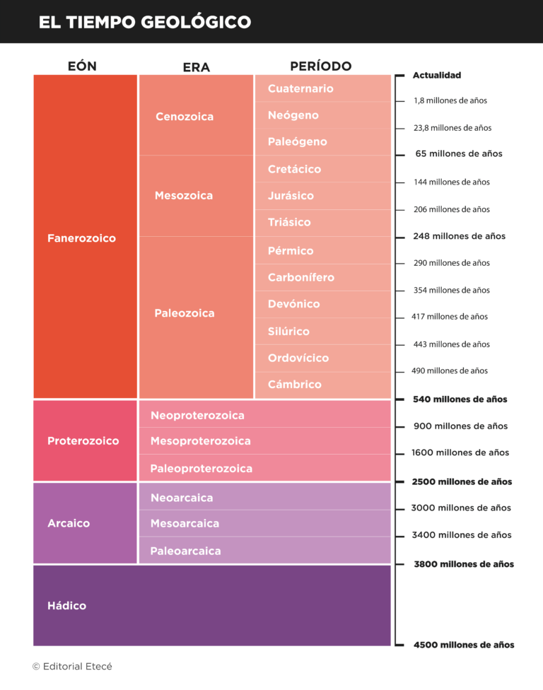 Período Cuaternario: resumen, división y características
