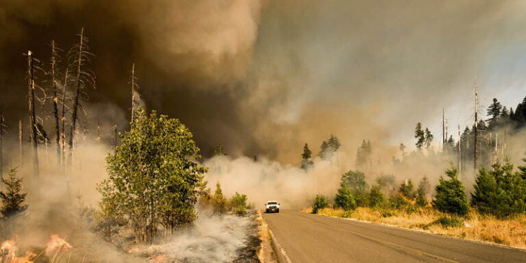 Natural disasters: what they are, causes and characteristics