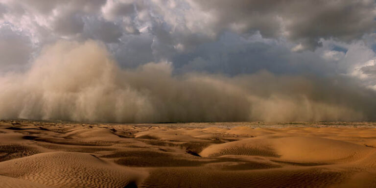 Sandstorms: what they are, causes, effects and characteristics