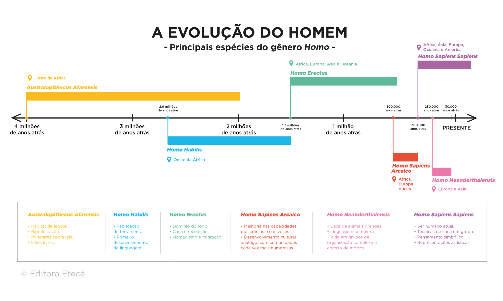 Evolução humana: resumo, espécies, teorias e características