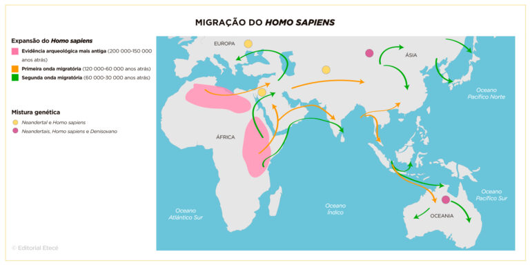 Homo sapiens: surgimento, evolução e características Homo sapiens: surgimento, evolução e características