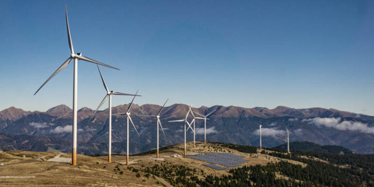 Environment: what it is and its characteristics