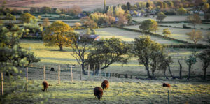 Urban area: what it is and its characteristics