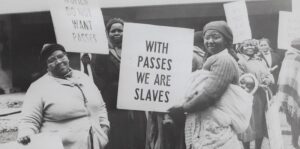 Apartheid: o que foi, implementação e resistencia