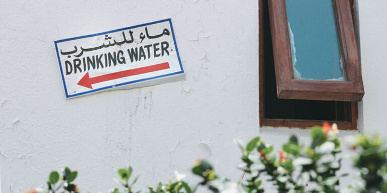 Middle East: characteristics, geography, culture and economy