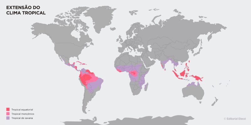 Clima tropical: o que é e suas características