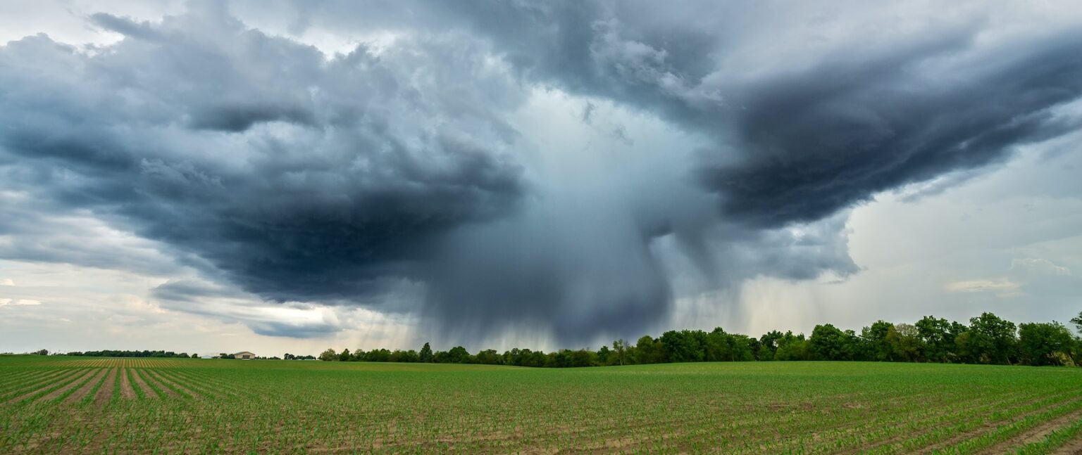 Climate: definition, types and characteristics
