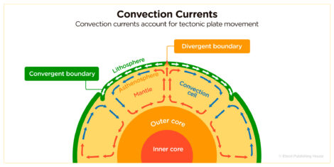 Tectonic plates: what they are, types and characteristics