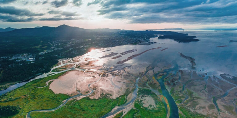 Biomes: what they are, their characteristics and more