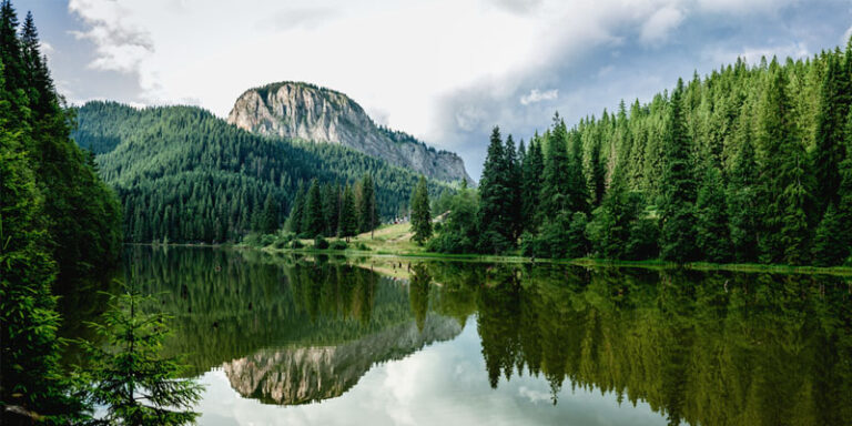 Biomas: qué son y su importancia