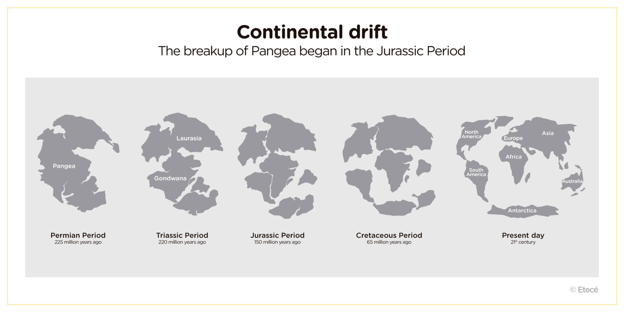 Jurassic Period: what it is, division and characteristics