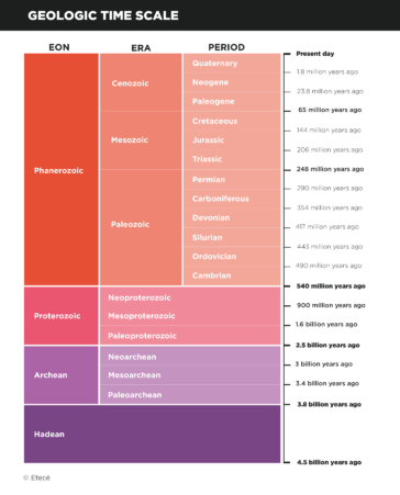Precambrian: what it was, characteristics and division