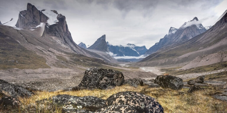 Clima continental: características, subtipos, flora y fauna